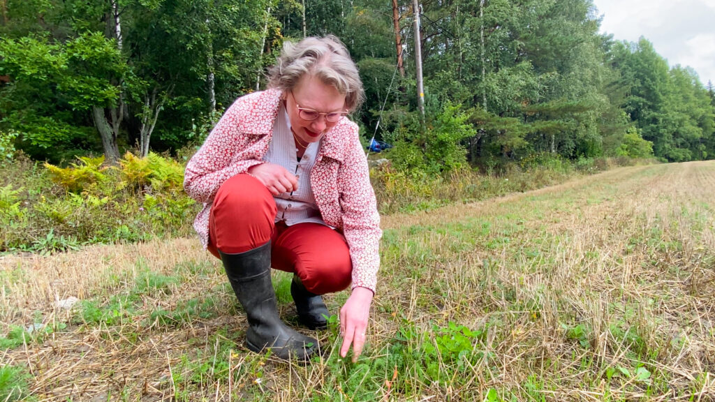 Tutkimus etunenässä kohti ei-kemiallista kasvinsuojelua - AGRImedia