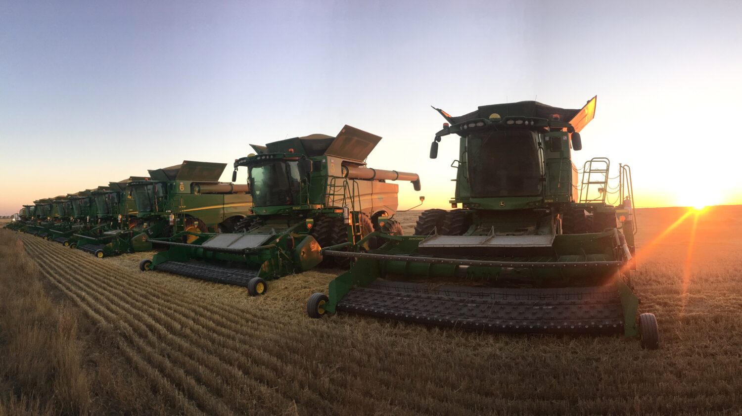 Yksipuolisella viljelyllä on seurauksensa - Argentiinassa soijan ...