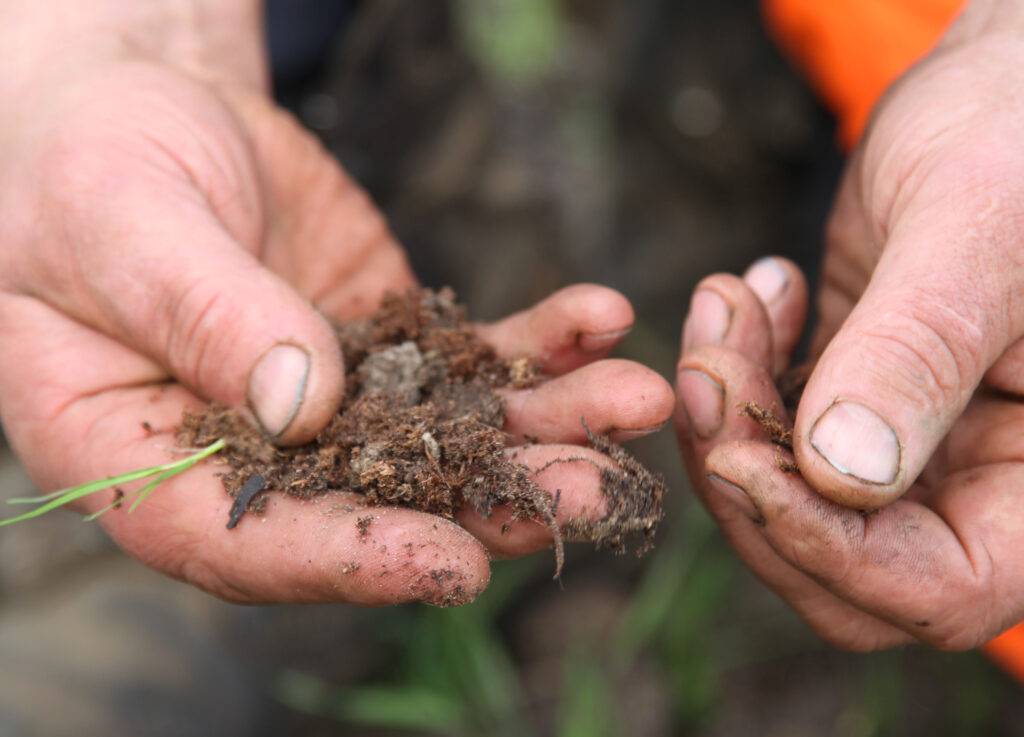 Kannustavatko ilmastotoimet päästövähennyksiin? - AGRImedia