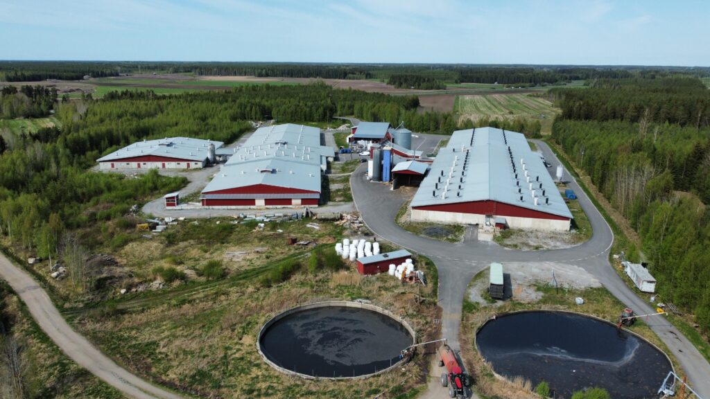 Jeppo Lantgris siirtyi emakkokohtaiseen ruokintaan - systeemi ...