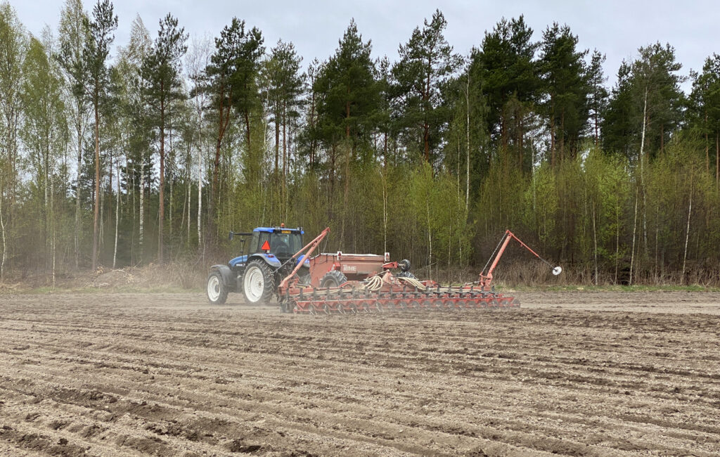 Orgaaninen lannoite käy juurikkaalle, mutta mineraalityppi kylvön ...