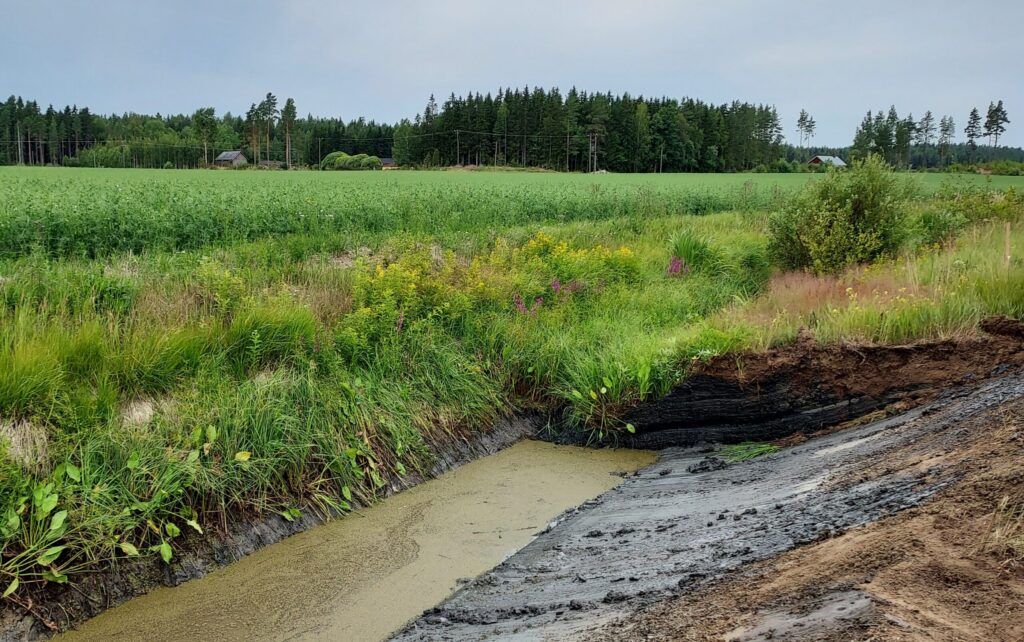 Vesi liikkuu valuma-alueella, ei tilarajoilla – siksi ojitus on ...